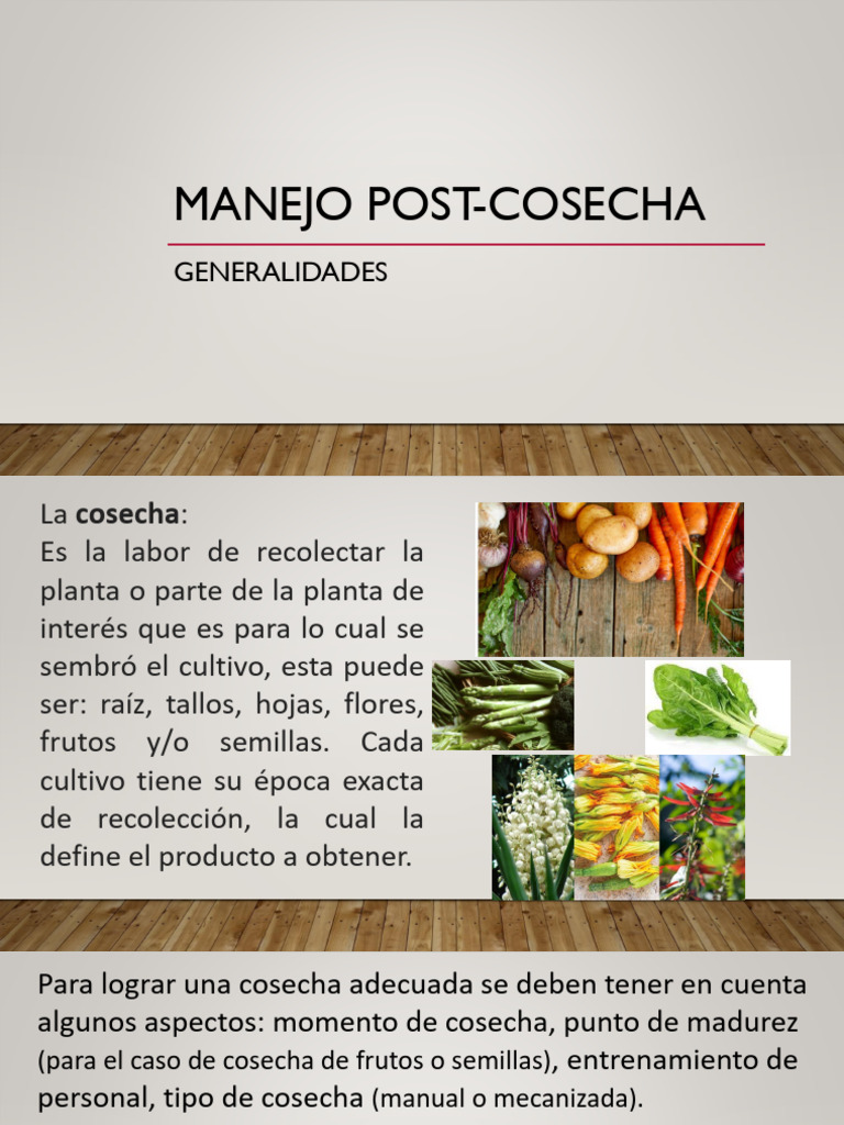 Manejo Efectivo de Post-Cosecha | PDF | Cosecha | Agricultura