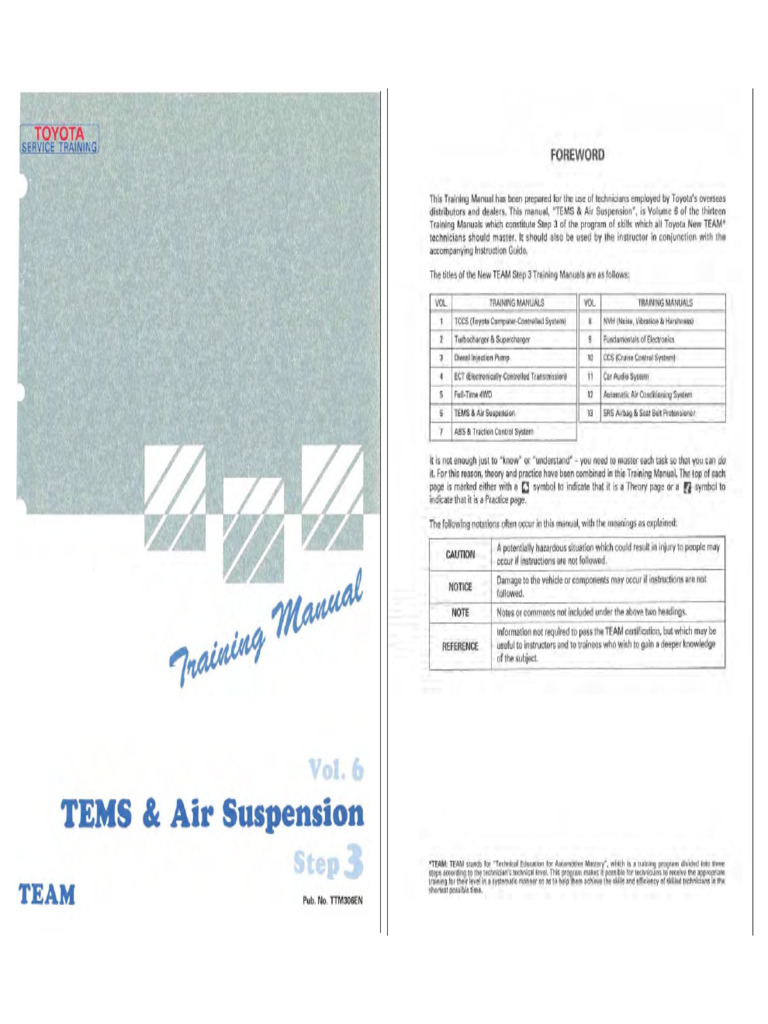 TEMS | PDF