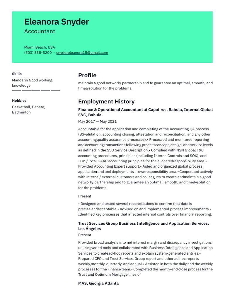 Eleanora Snyder: Accountant Profile | PDF | Accounting | Internal Control