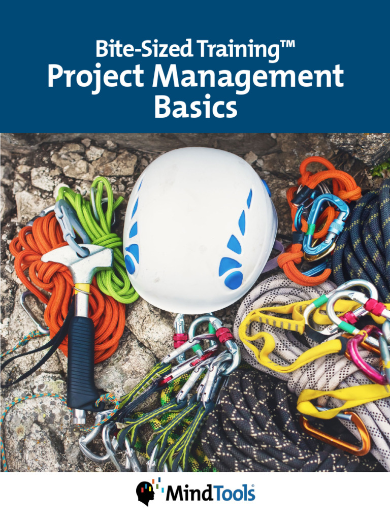 BiteSizedTraining ProjectManagementBasics | PDF | Project Management | Risk