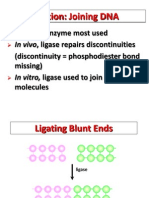 Adapters and Linkers | PDF | Dna Ligase | Molecular Cloning