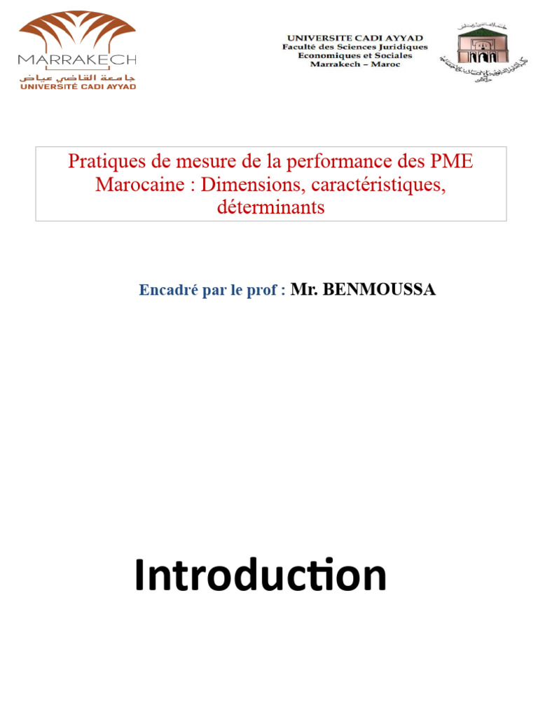 Pratiques de Mesure de La Performance Des PME Marocaine VERSION FINALe | PDF | Petite ou moyenne ...