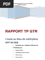 Essai Au Bleu de Methylene (NF | PDF