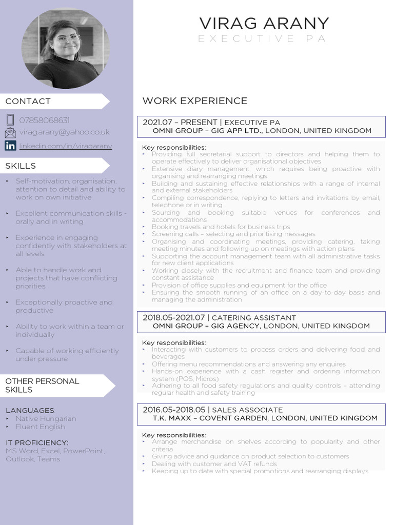 EXECUTIVE_PA_CV | PDF | Microsoft Excel | Sales