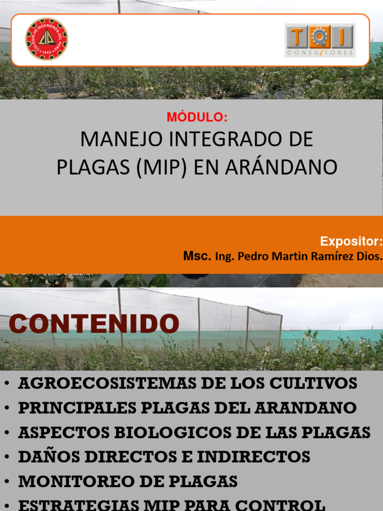 Mip Arandano | PDF | Tecnología