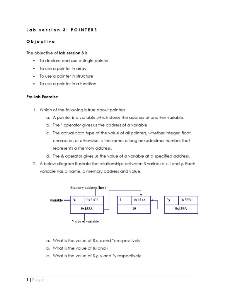 Dsa Lab Session 3 Pdf Pointer Computer Programming Software Development 1196