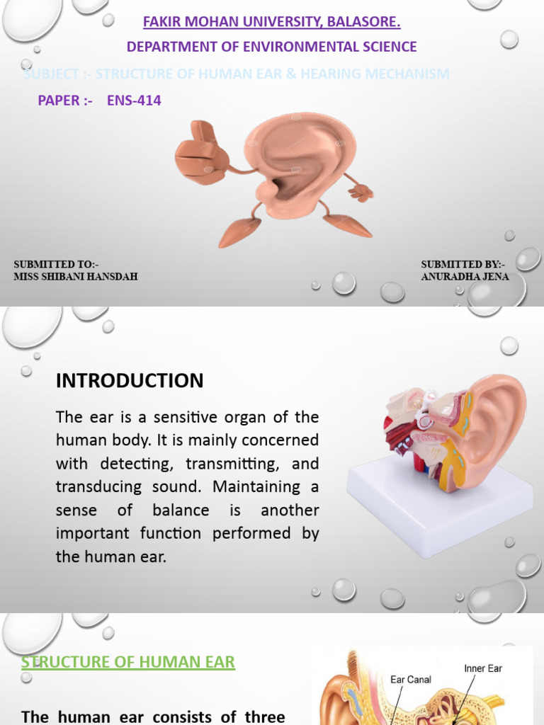 Human Ear PPT | PDF | Ear | Hearing
