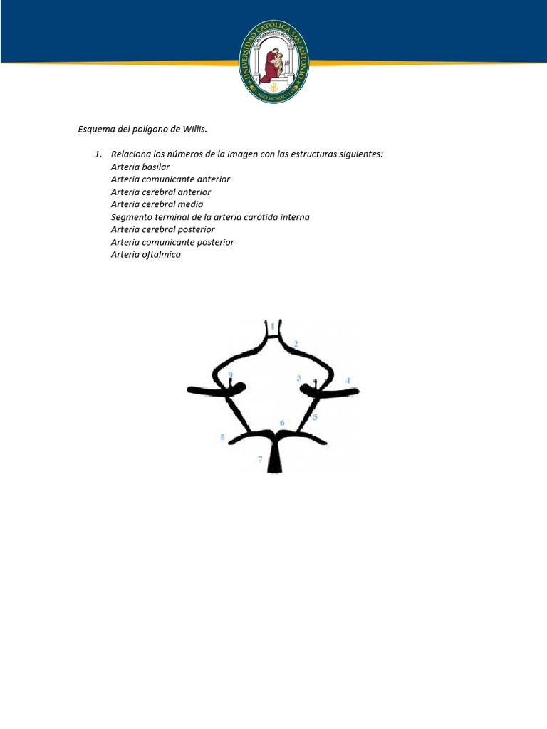 Esquema%2Bdel%2Bpol%C3%ADgono%2Bde%2BWillis_+%282%29 | PDF