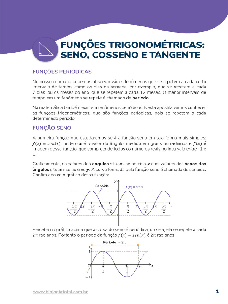 Funções Trigonométricas I | PDF | Trigonometria | Função (Matemática)