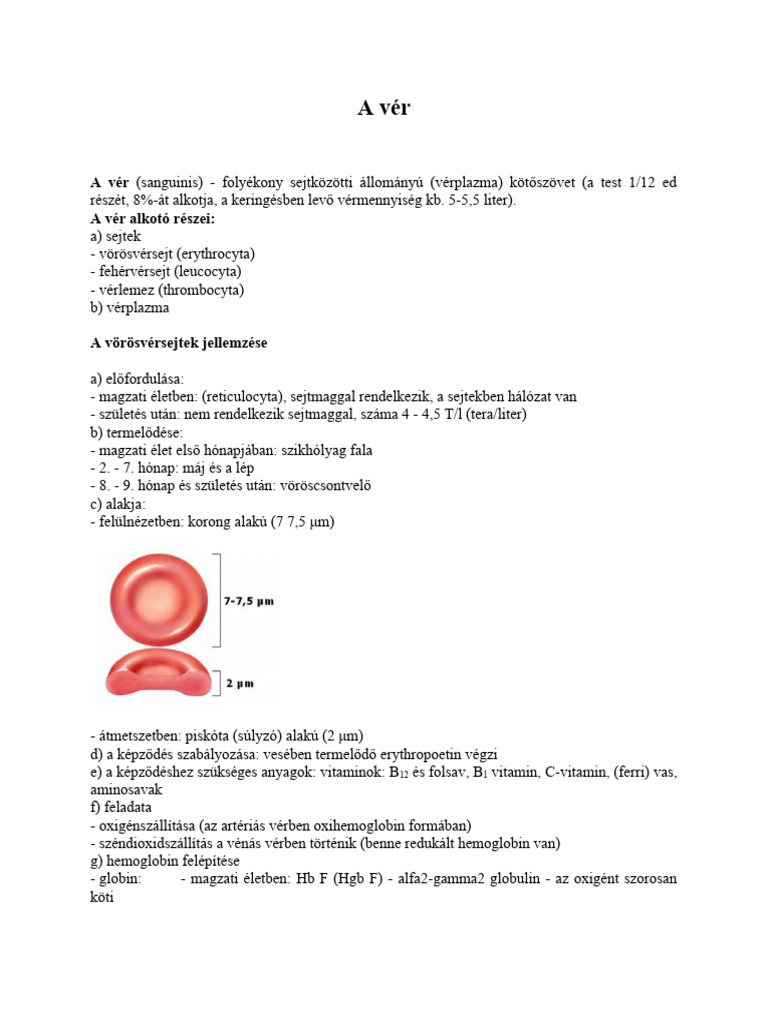 Keringési Rendszer | PDF