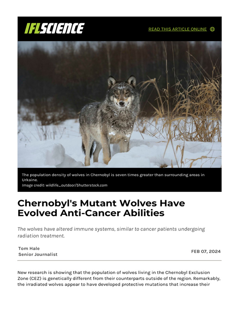 Chernobyl's Mutant Wolves Have Evolved Anti-Cancer Abilities | PDF ...