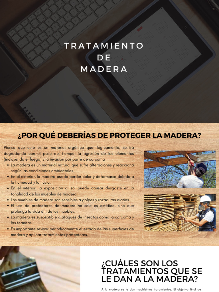 ¿Por Qué Deberías de Proteger La Madera | PDF | Madera | Pintar