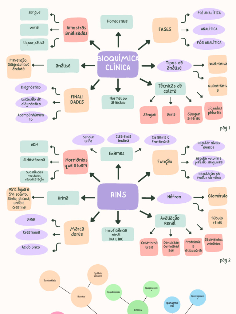 Mapa Mental | Download grátis PDF | Rim | Urina