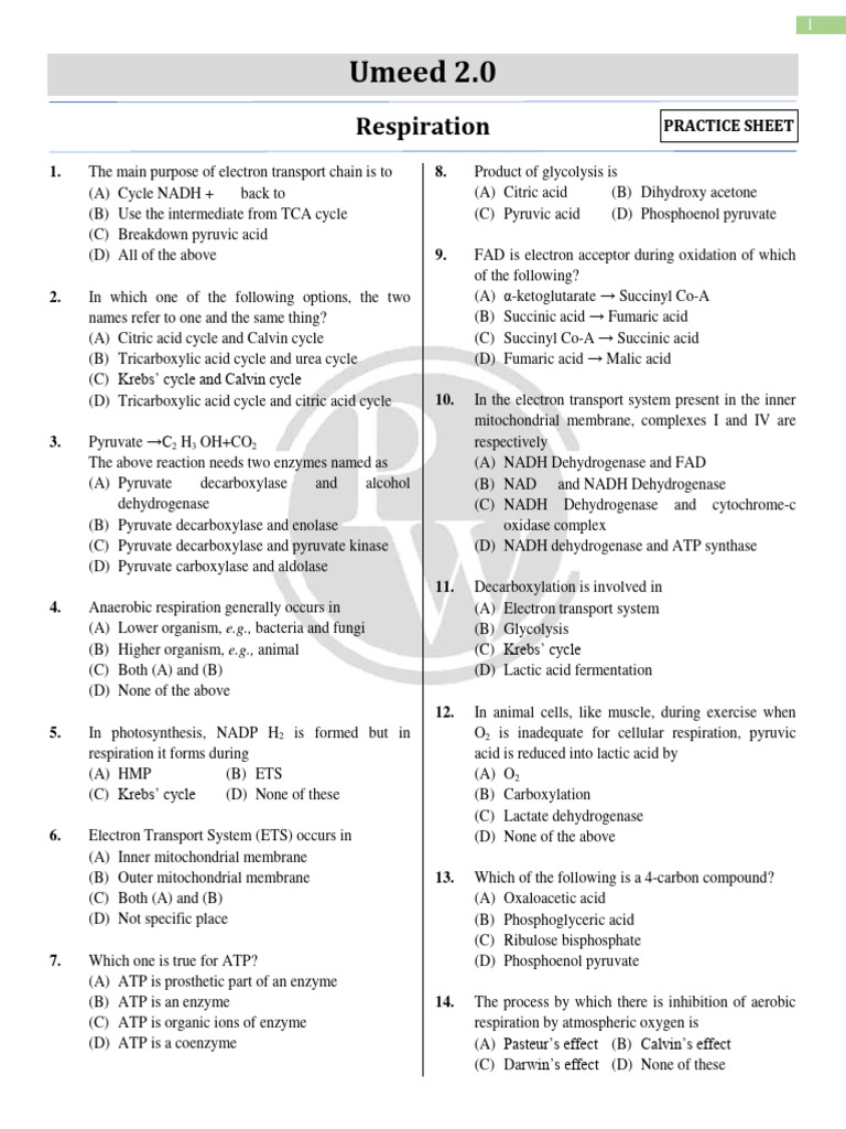 Respiration in Plants Practice Sheet | PDF | Cellular Respiration ...