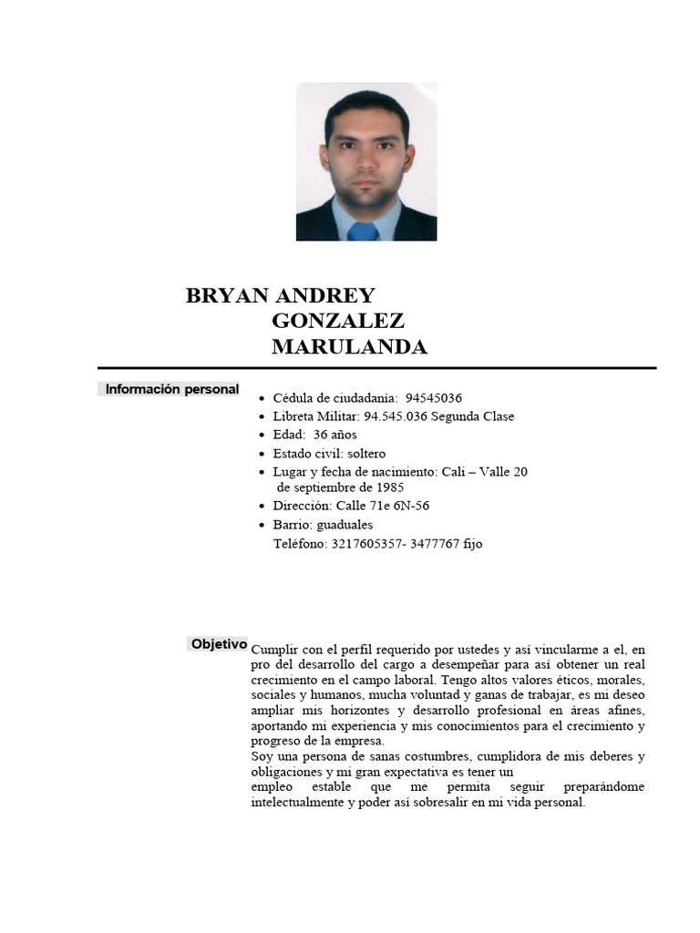 Currículum de Bryan González: Experiencia Laboral | PDF | Business