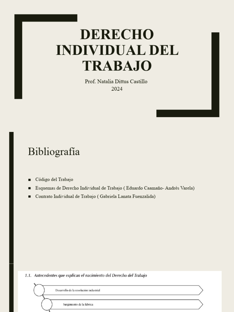 Derecho Individual Del Trabajo_ 2024 | PDF