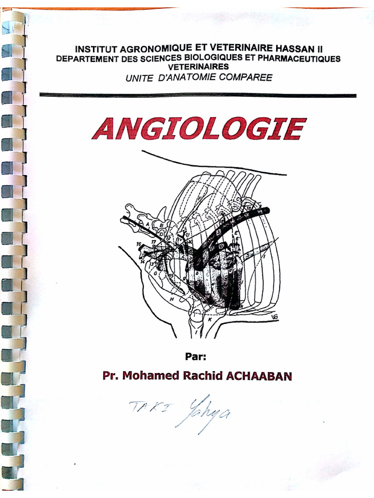 Polycope Angiologie (Pr. Achaaban) | PDF