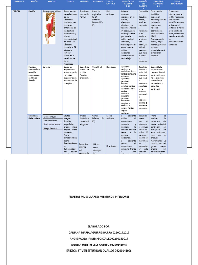 Evaluación de Pruebas Musculares Cadera | PDF | Articulaciones ...