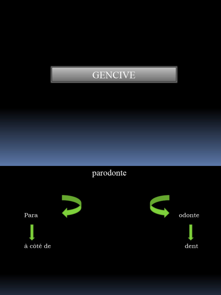 Anatomie et Physiologie de la Gencive | PDF | Épithélium | Langue