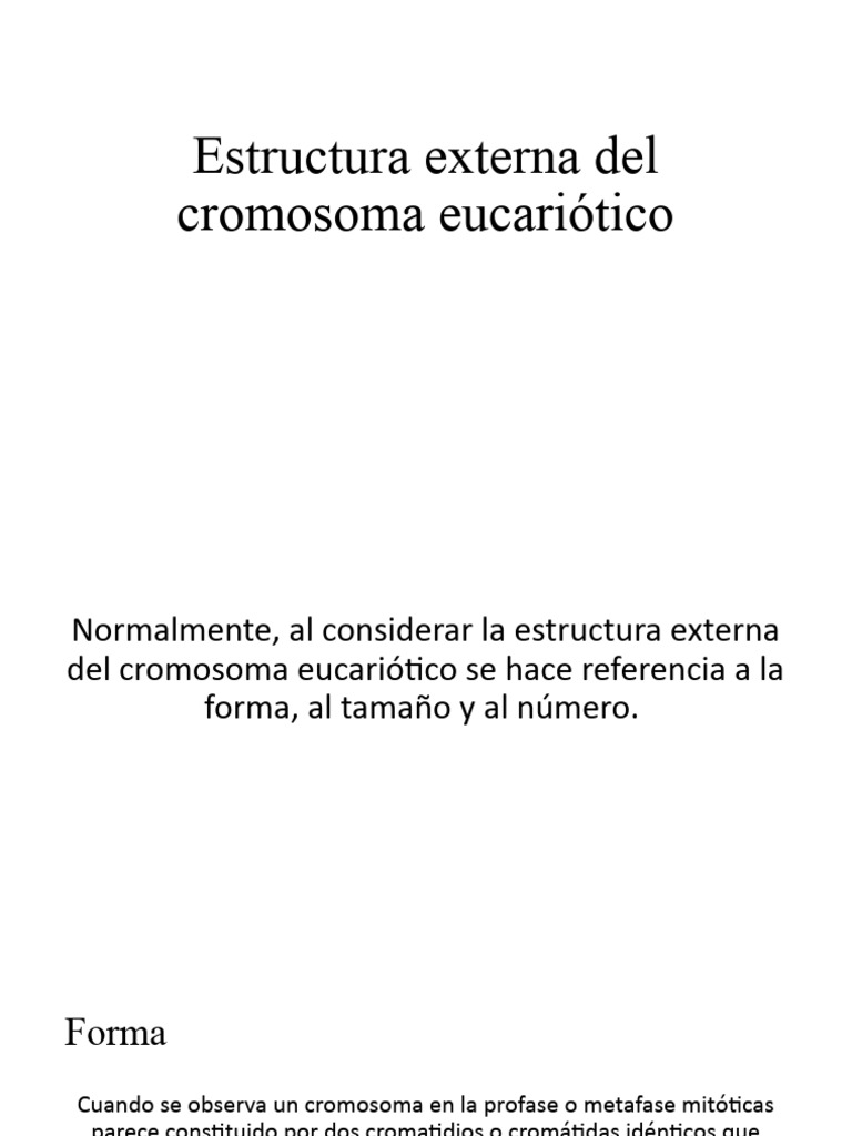 Clase 2 Estructura Externa Del Cromosoma Eucariótico | PDF | Cromosoma ...