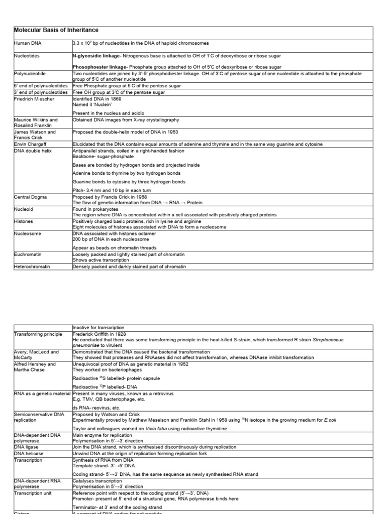 Molecular Inheritance and DNA Structure | PDF | Dna | Messenger Rna