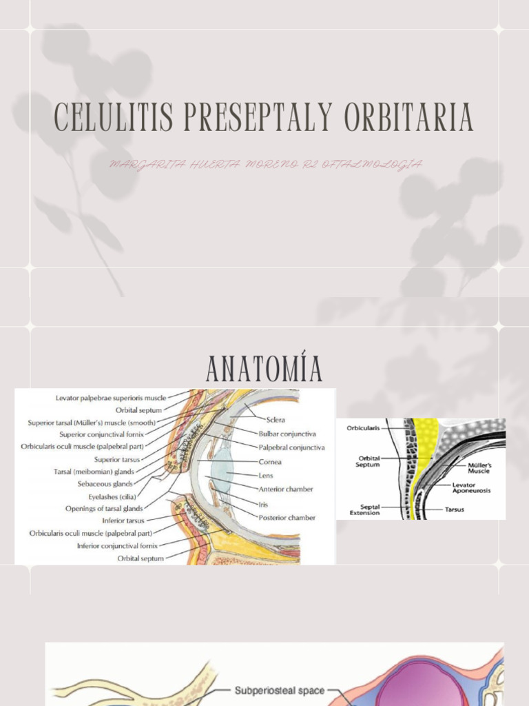 Celulitis Preseptal y Orbitaria | PDF | Ojo humano | Inmunología
