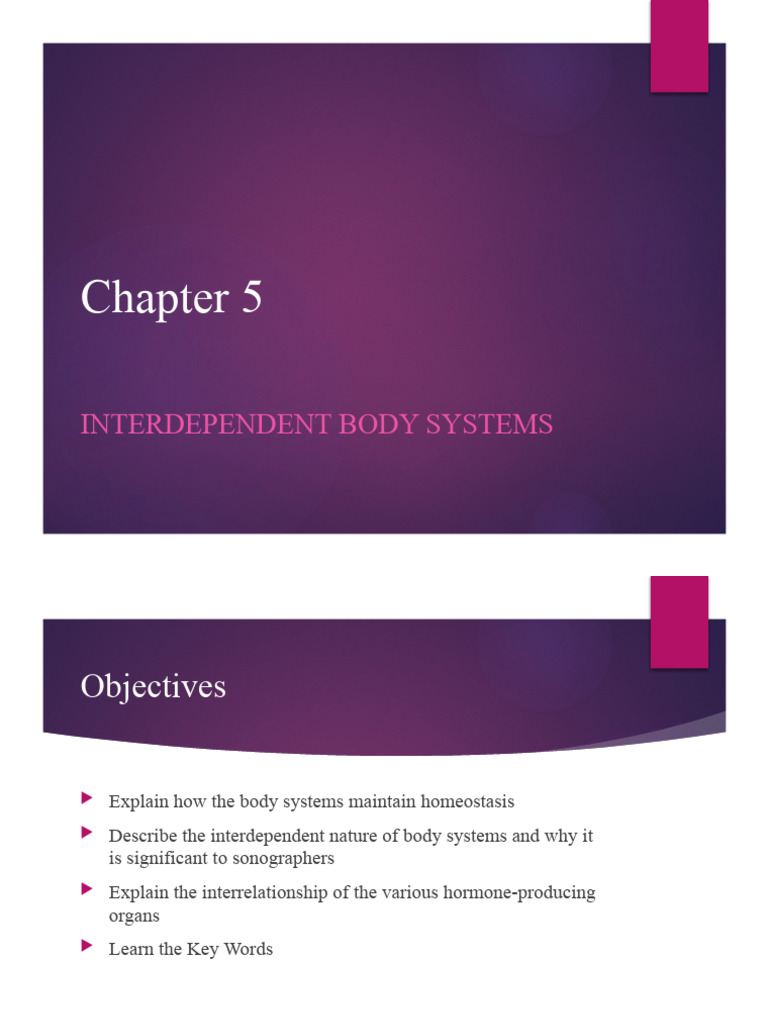 Chapter_005 Interdependent Body Systems | PDF | Lymphatic System ...