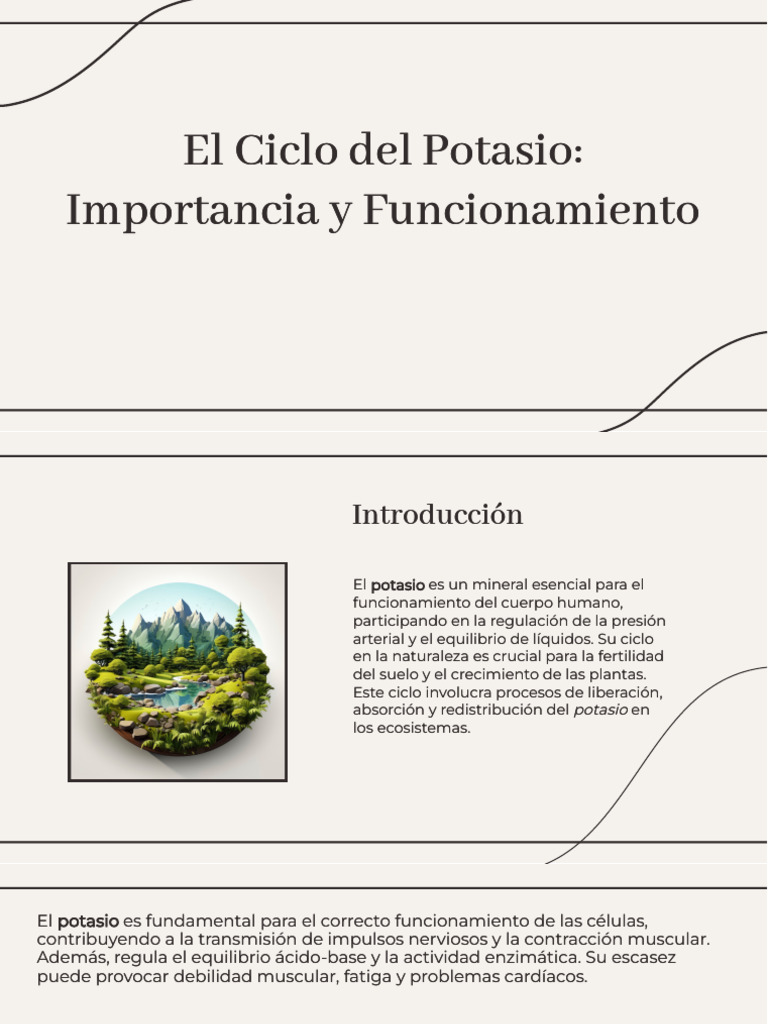 Wepik El Ciclo Del Potasio Importancia y Funcionamiento 20240402021038dYUB | PDF | Potasio | Química
