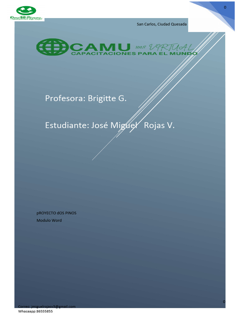 Proyecto Dos Pinos | PDF | Sustentabilidad | Leche