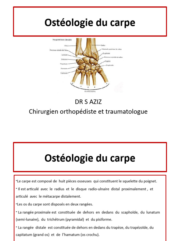 Ostéologie Du Carpe | PDF | Système squelettique | Membres (anatomie)