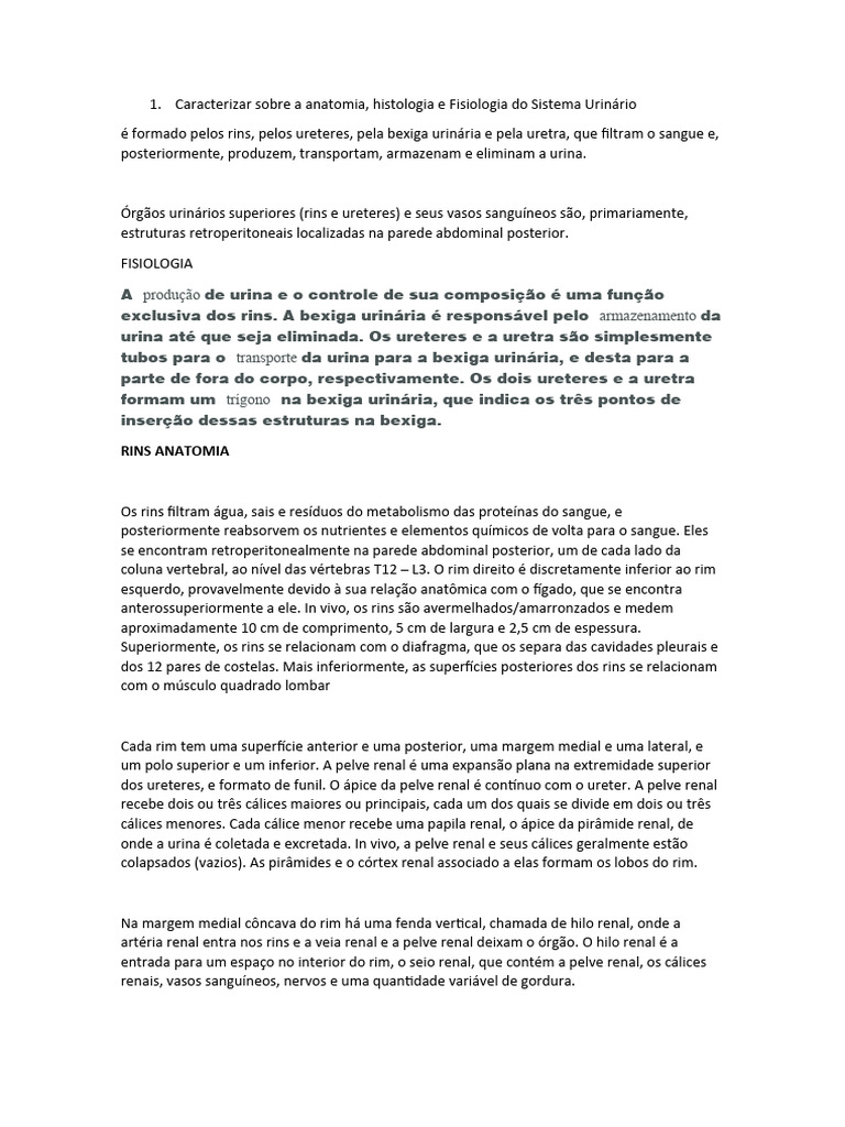 Sistema urinário | PDF | Rim | Micção