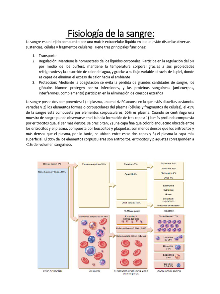 Fisiología de La Sangre | PDF | Sangre | Especialidades Medicas