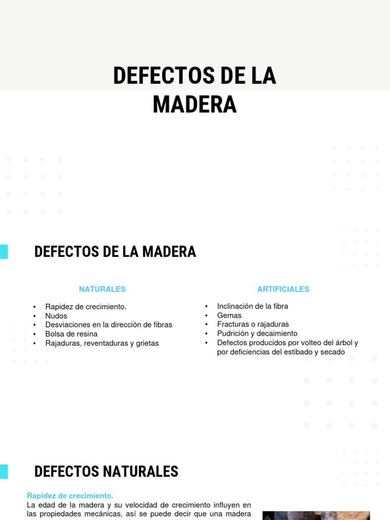 Defectos Naturales de la Madera | PDF | Madera | Agua