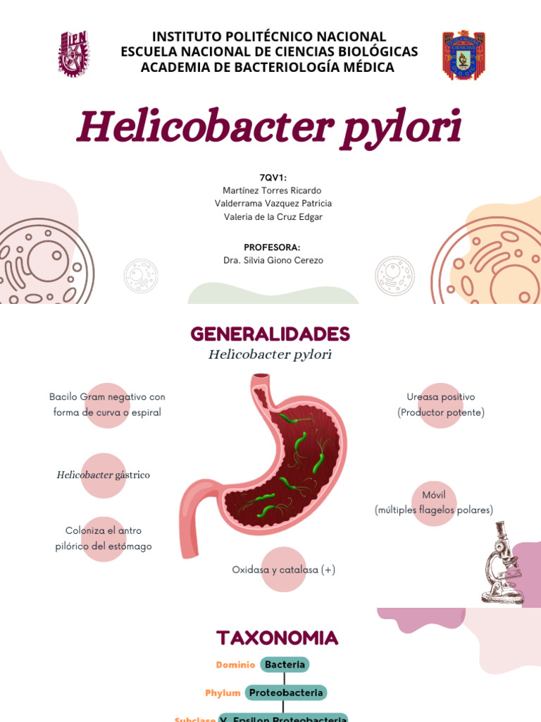 Helicobacter Pylori | PDF | Especialidades Medicas | Medicina CLINICA