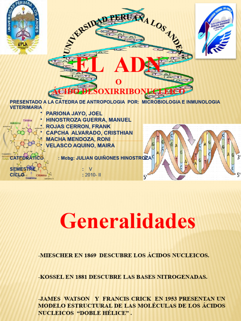Expo Adn Micro | PDF | Adn | Codigo genetico