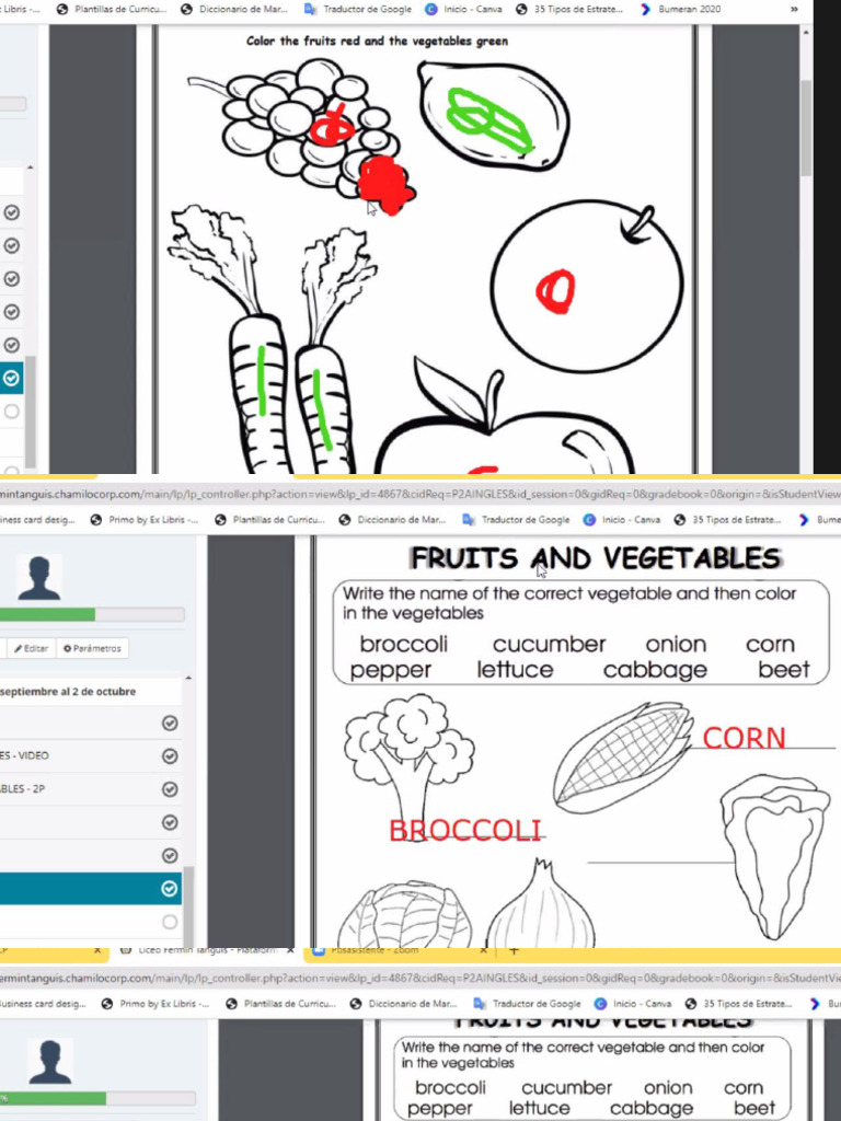 Presentación de Igles | PDF