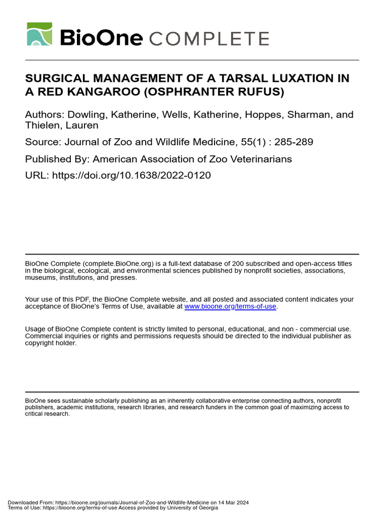Surgical Management of A Tarsal Luxation in A Red Kangaroo (Osphranter ...