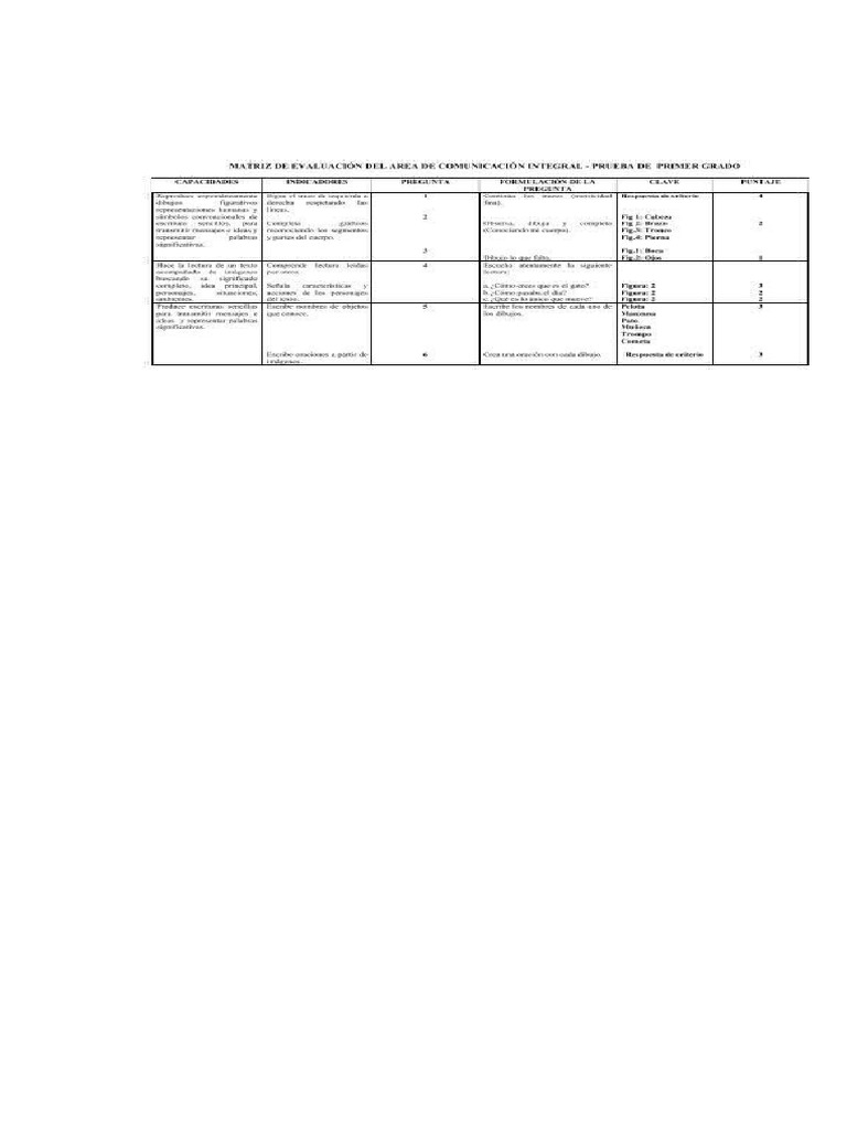ejemplo de indicadores de evaluacion | PDF