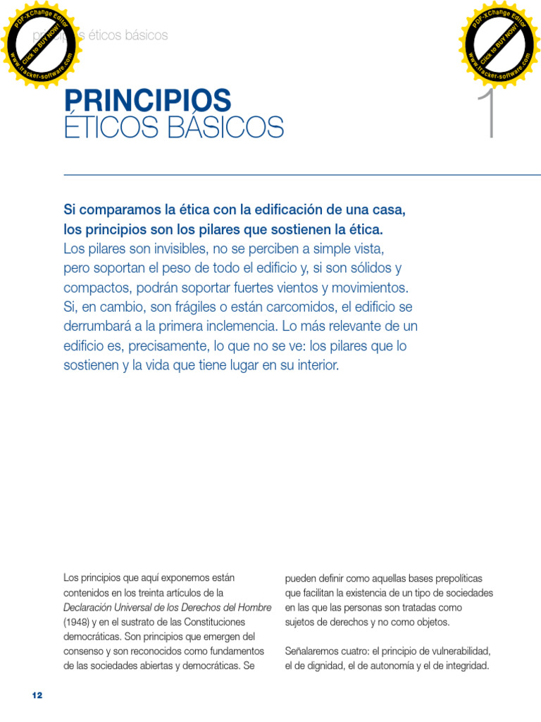 Clase 3 Principios Eticos Basicos | PDF | Autonomía | Dignidad