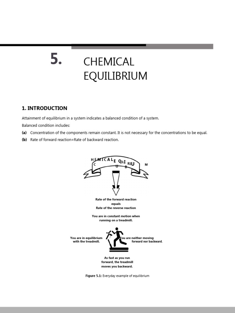 5.chemical Equilibrium Theory | PDF | Chemical Equilibrium | Solubility
