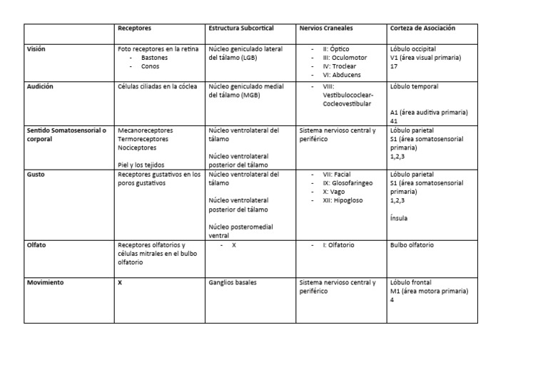 Tabla Sensación y Percepción | PDF | Sistema nervioso central ...