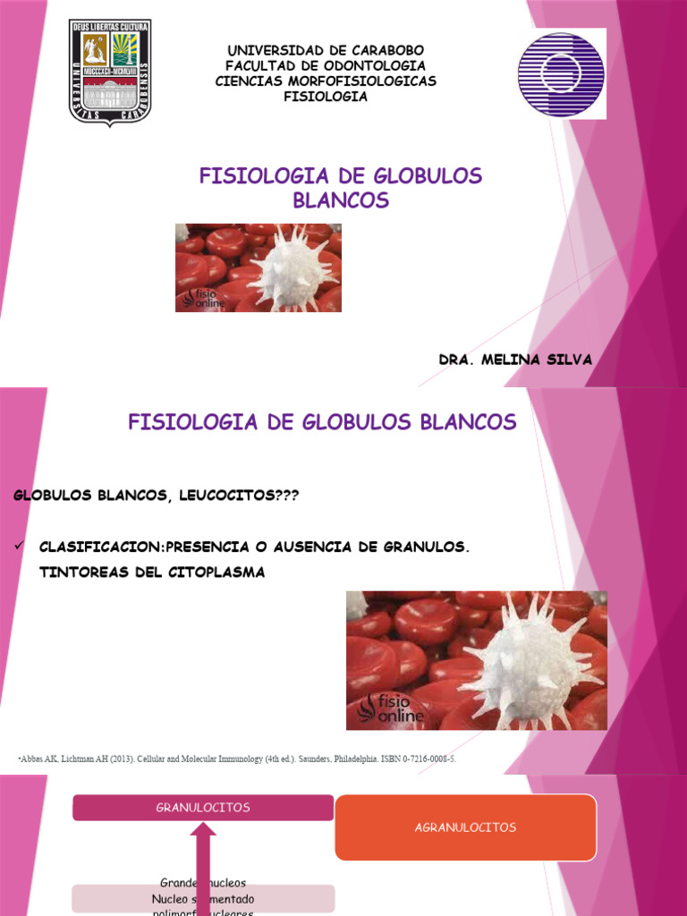 Fisiologia Globulos Blancos | PDF | Leucocito | Sistema inmune