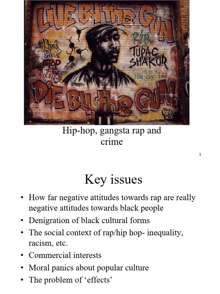 Hip Hop | PDF | Hip Hop Music | Stereotypes