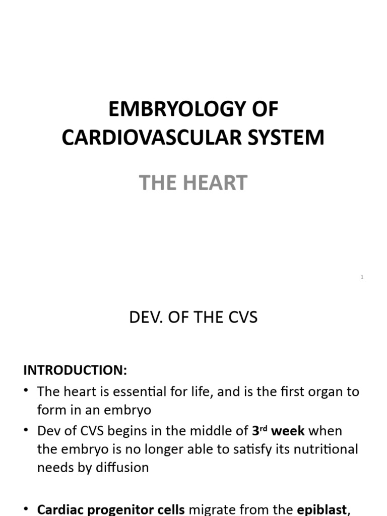 Cardiac Septation in Embryology | PDF | Atrium (Heart) | Congenital ...