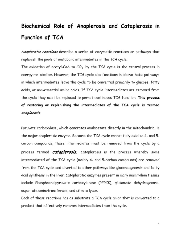 Anaplerotic and Cataplerotic Reactions of The Tca Cycle | PDF | Diet ...