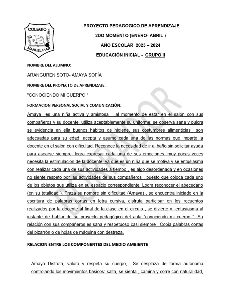 Educación Inicial - Grupo Ii - Boletin Borrador 2do. Momento Pedagógico U.E.P | PDF | Educación ...