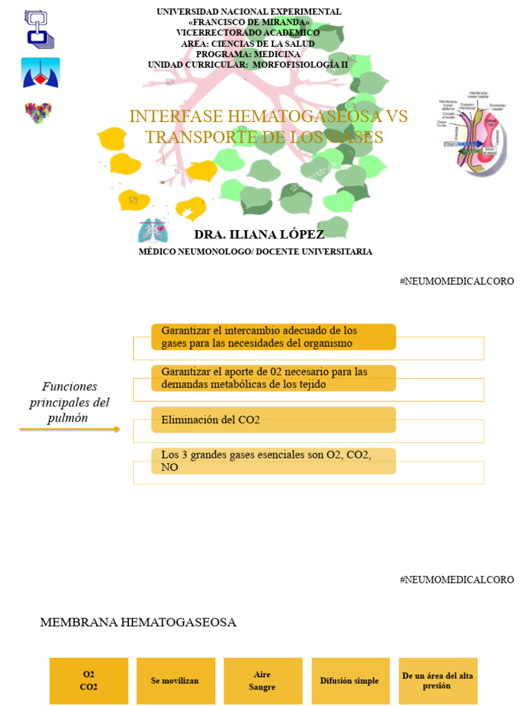 Interfase Hematogaseosa Edt | Descargar gratis PDF | Hemoglobina | Sistema respiratorio