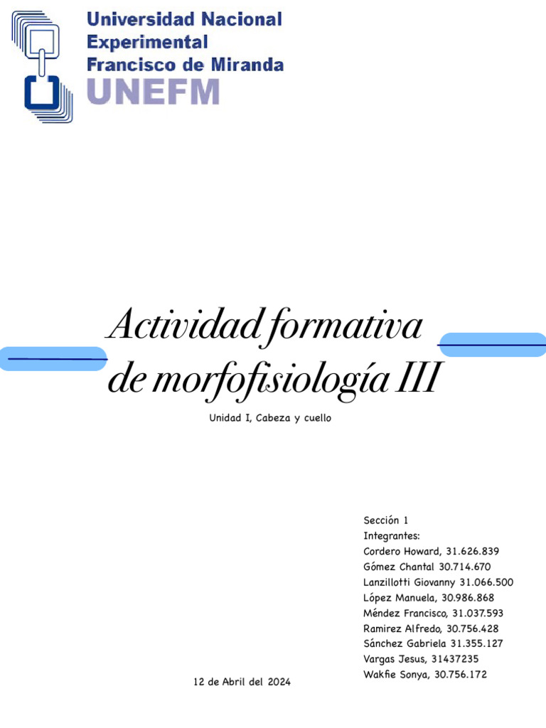 Morfo 3 | PDF | Anatomía humana | Anatomía