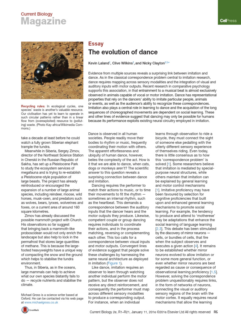 Evolution of Dance | PDF | Imitation | Dances