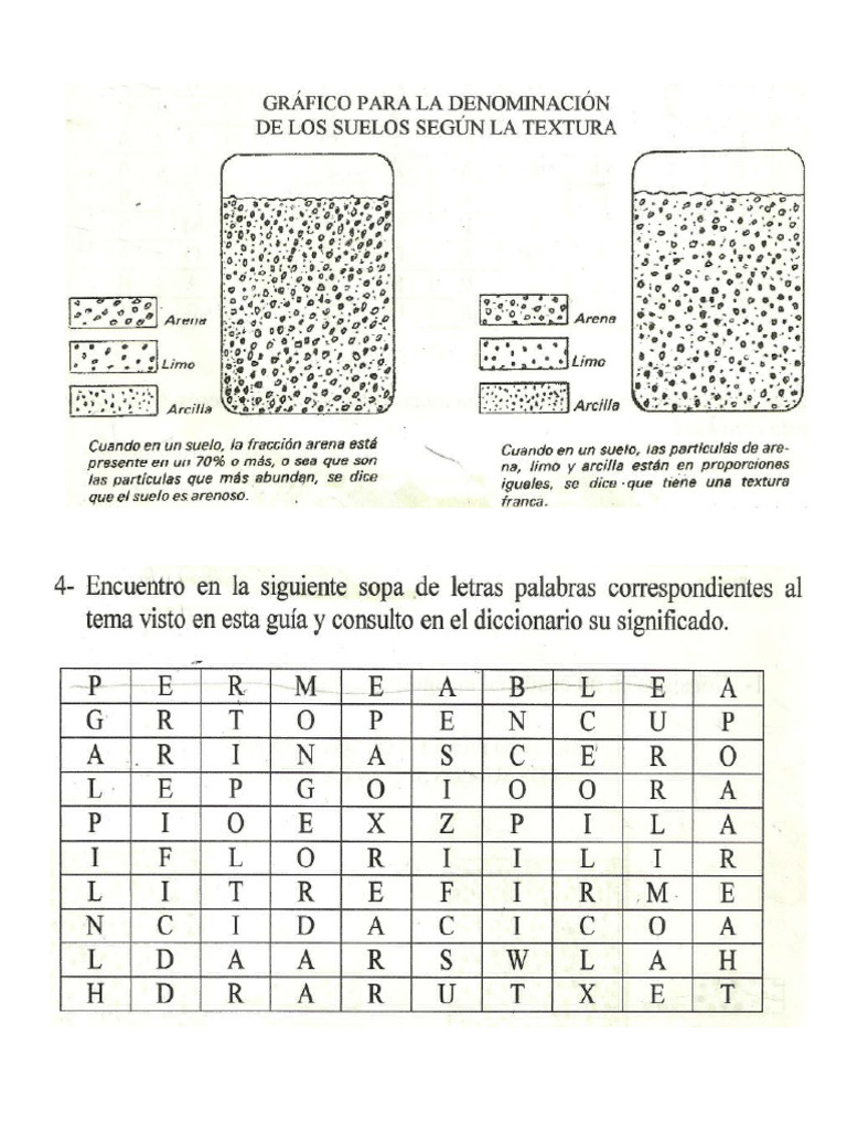 Sopa de Letras Sobre La Importancia Del Suelo. | PDF